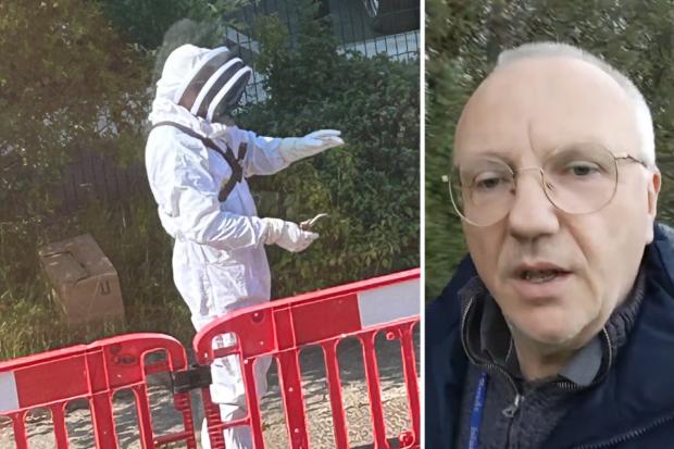 Hobbyist beekeeper died after sting to ear triggered fatal reaction