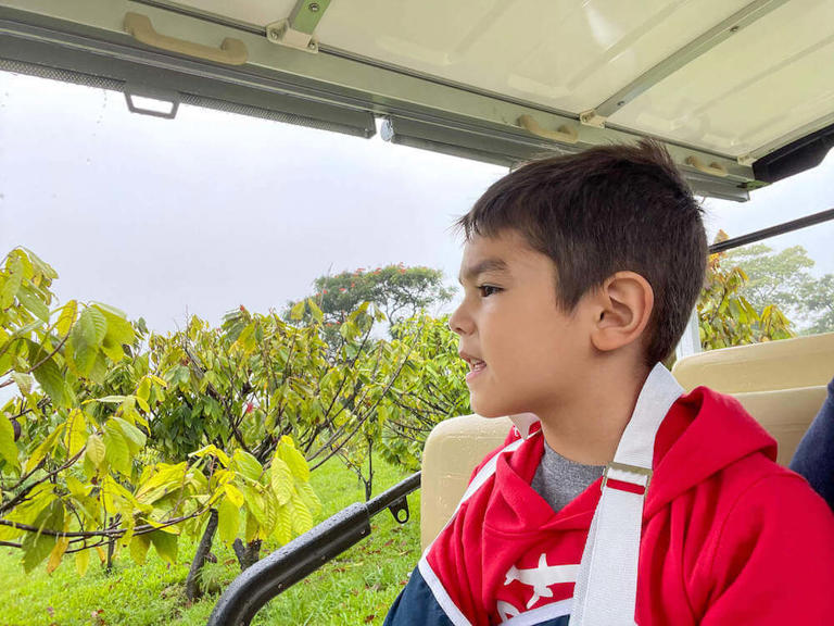This Big Island chocolate farm tour will make your kids beg to come ...