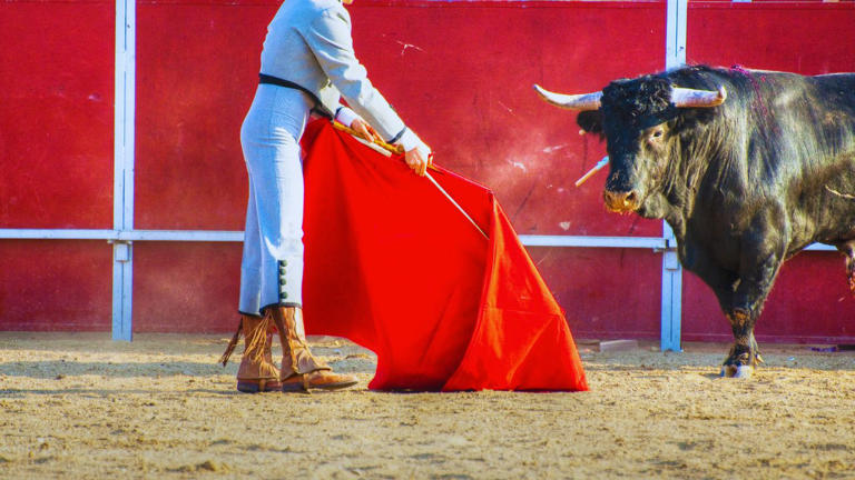 You probably believed these 5 animal myths—but you were fooled, they’re ...