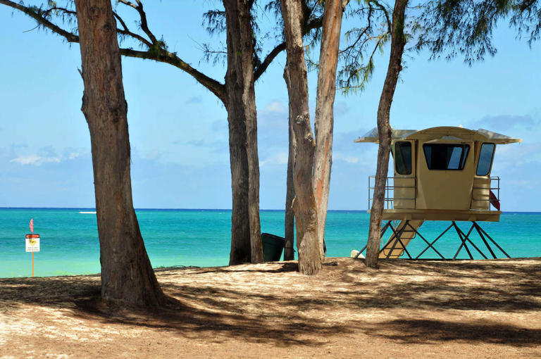 12 Honolulu tours worth every penny (tested by a Hawaii expert in 2026)