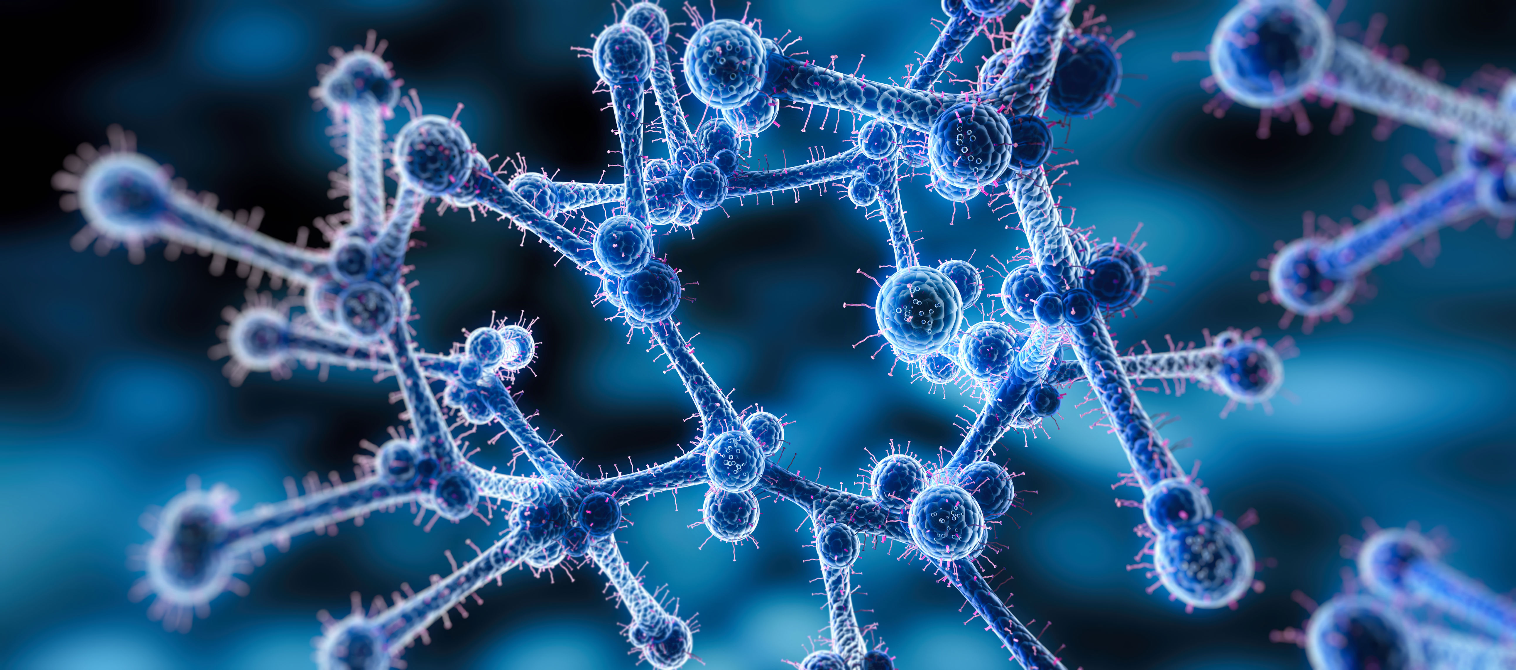 Superbug fungus Candida auris: what to know as US faces alarming spread