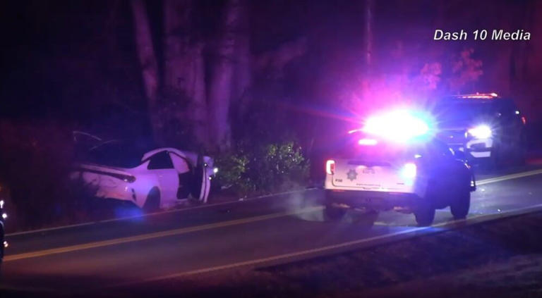 Driver airlifted to hospital after crashing into tree in Clarksville