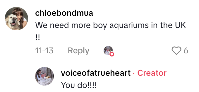 Why are people going to hockey games and calling it the boy aquarium ...