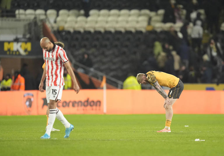 Hull City 0 Stoke City 1: Contrast offers perspective but Tigers must ...