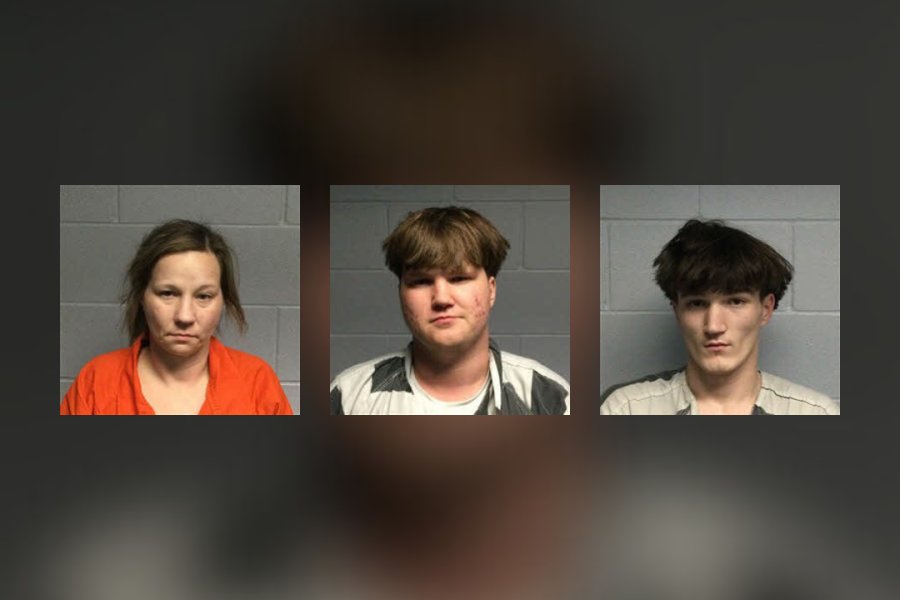 Firearm discharge leads to 3 arrests in Livingston