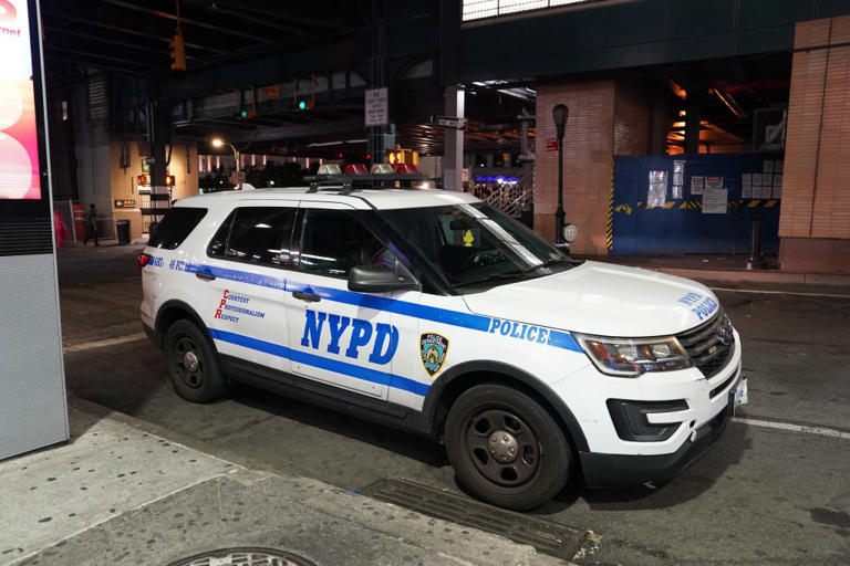 Maniac shoves 72-year-old man into moving NYC train — in 2026's first ...