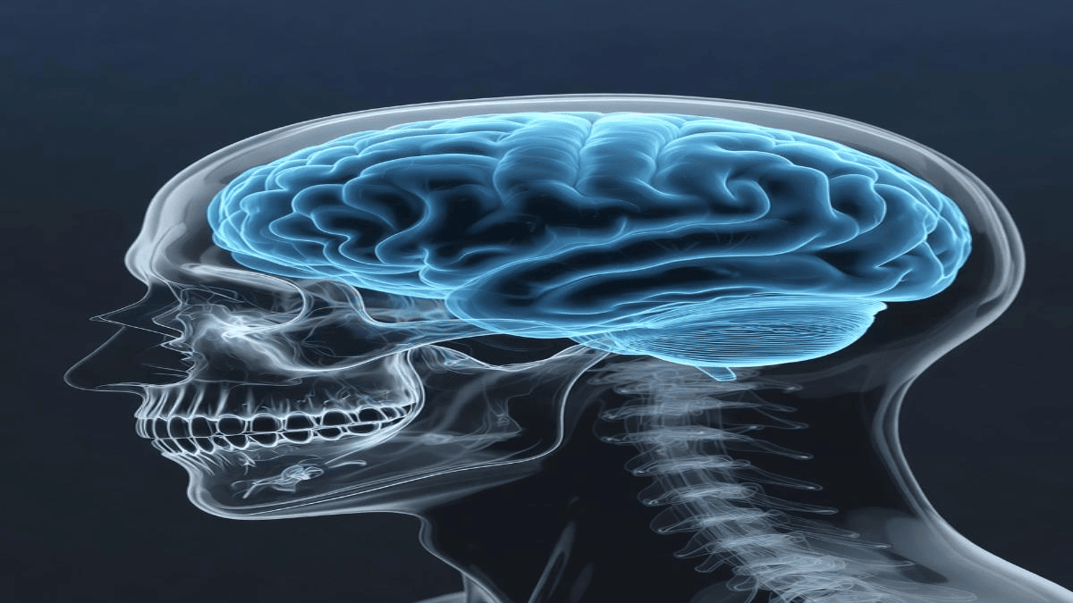 New study reveals how your childhood diet may shape your brain health ...