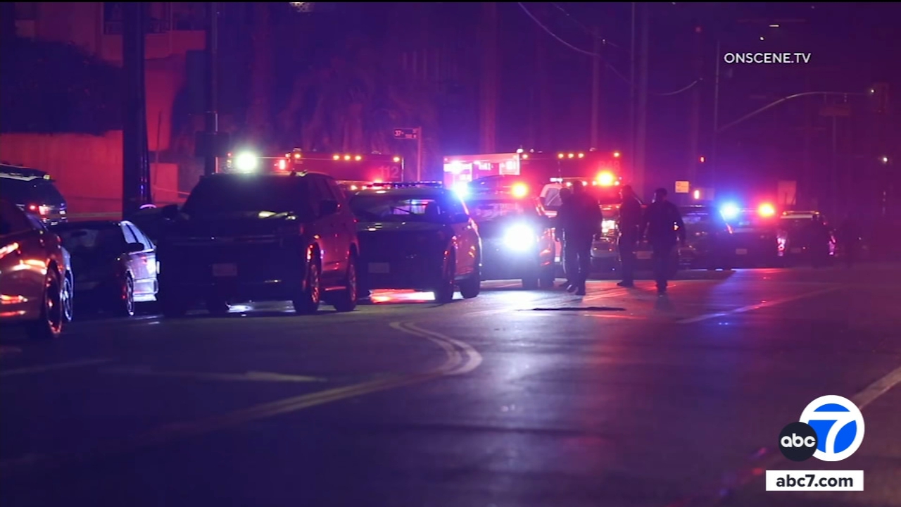 LAPD shoots, kills domestic violence suspect during altercation in San ...