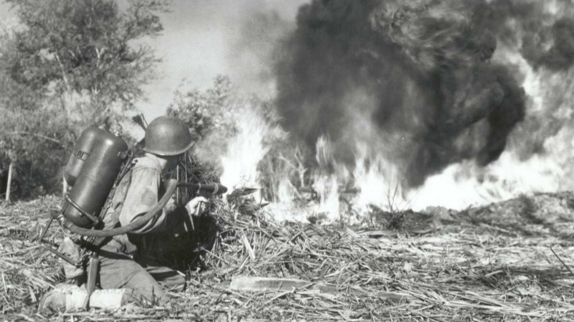 The fiery legacy of flamethrowers: From ancient Greece to fire spewing ...