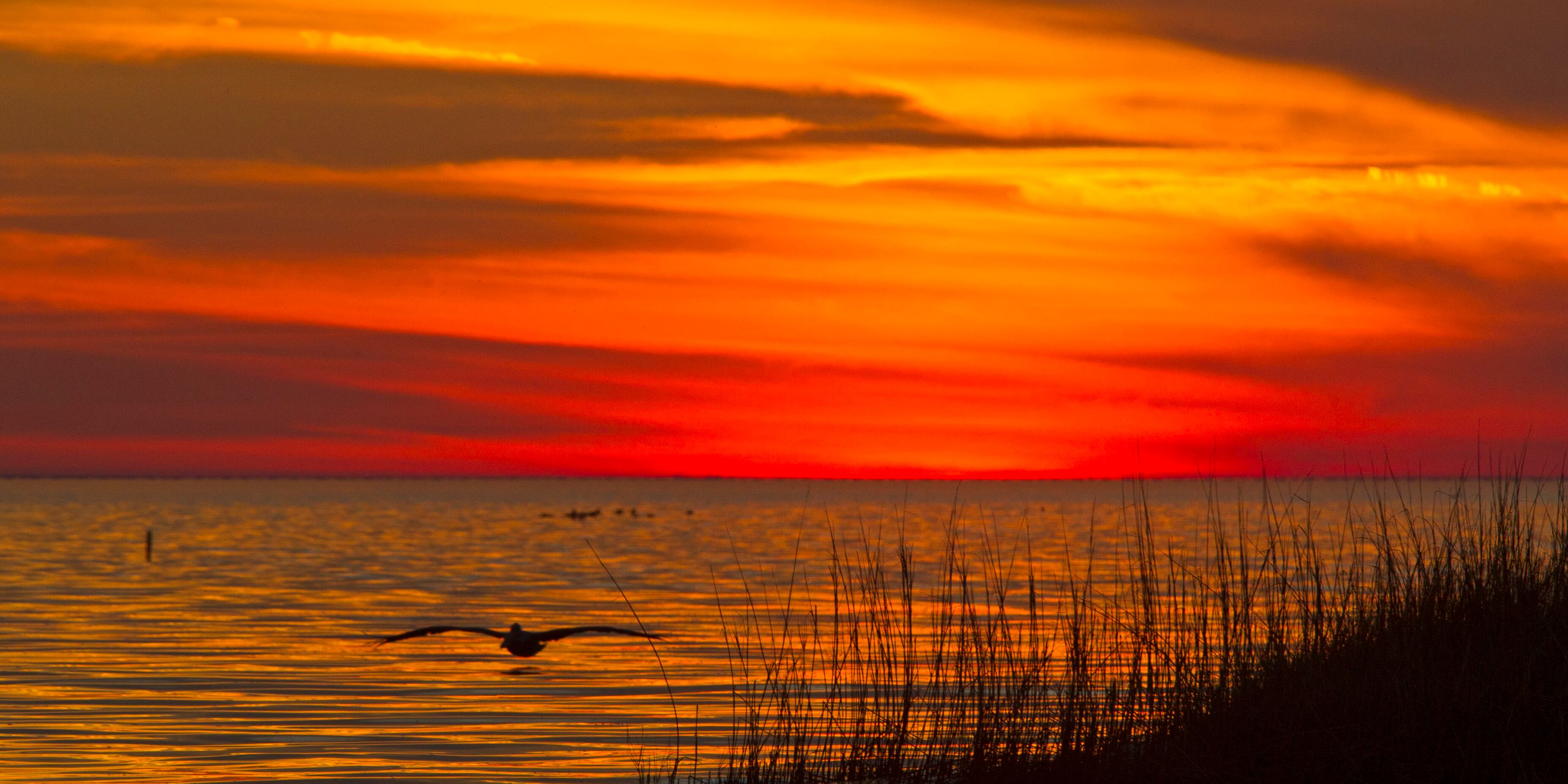 Louisiana coastal program will chart a new path in 2026