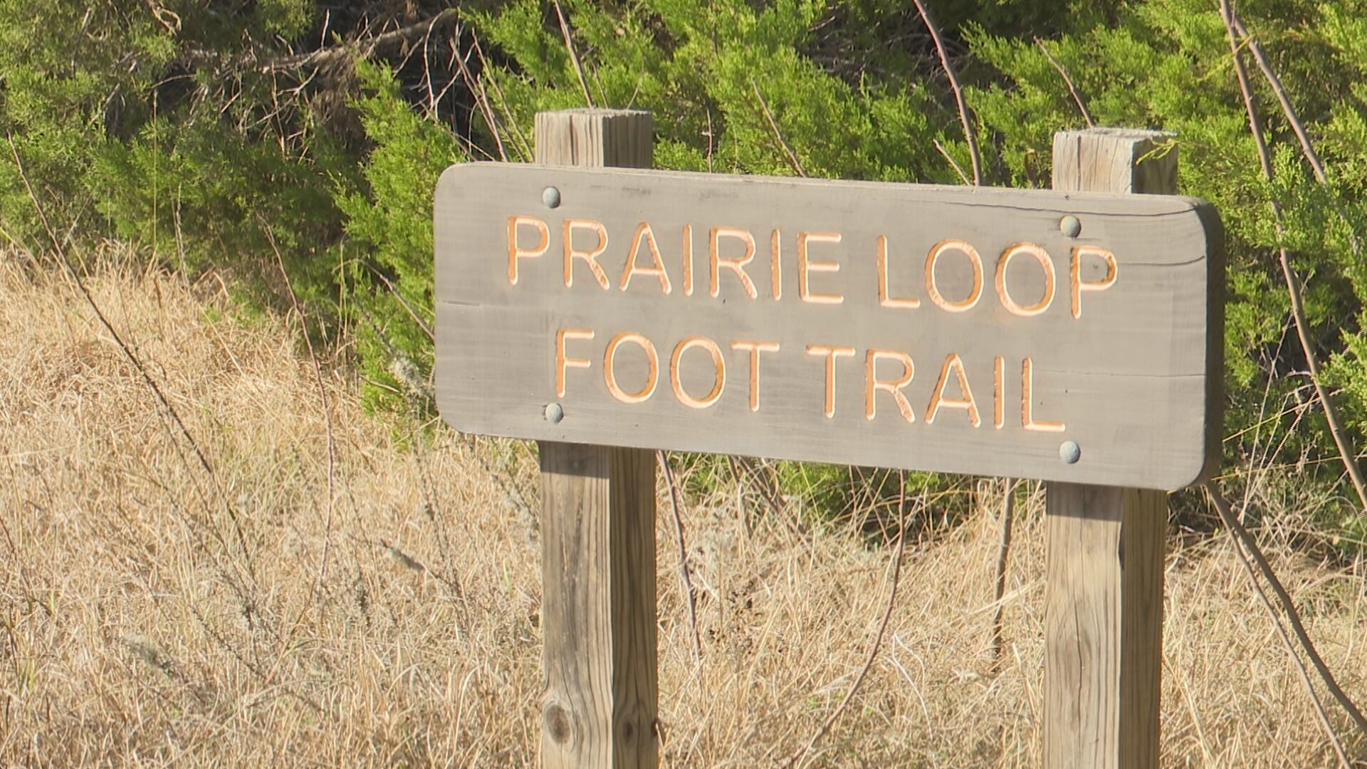 Central Texans start 2026 with New Year’s Day First Day Hike