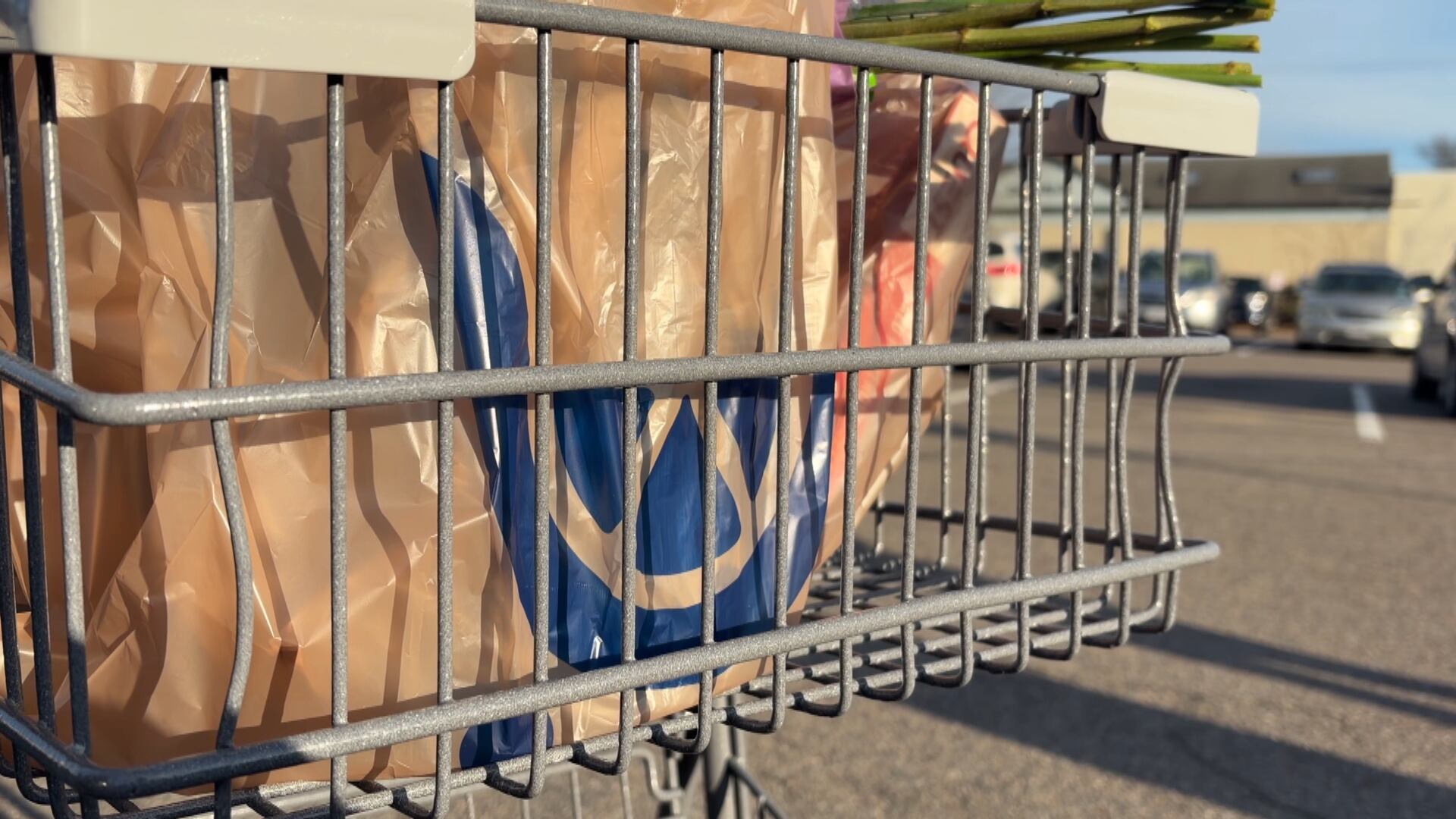 Shoppers weigh in on plastic bag tax as it takes effect in Richmond