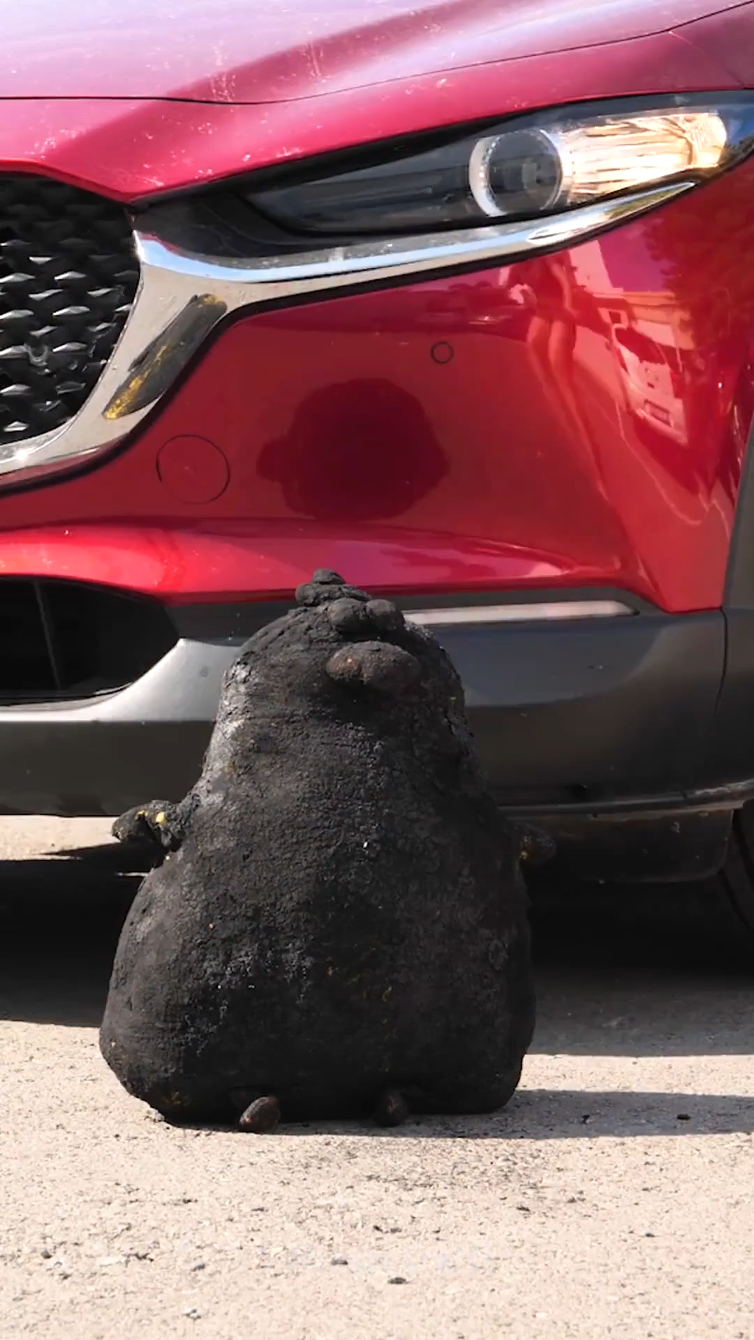 Rescue mission: Transforming a lost toy into a crafty creation