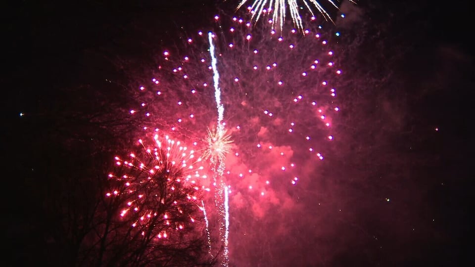 Fireworks ignite front yard of home next to children’s clinic in DeKalb ...