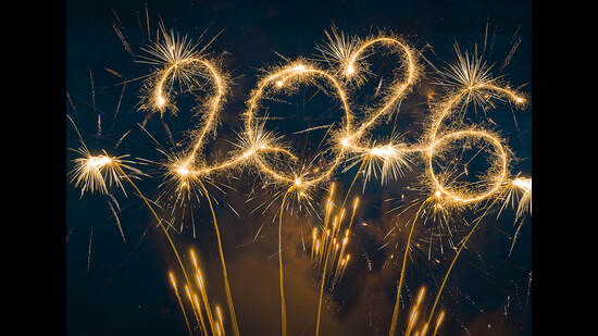 Spectator by Seema Goswami: Soft-launching 2026