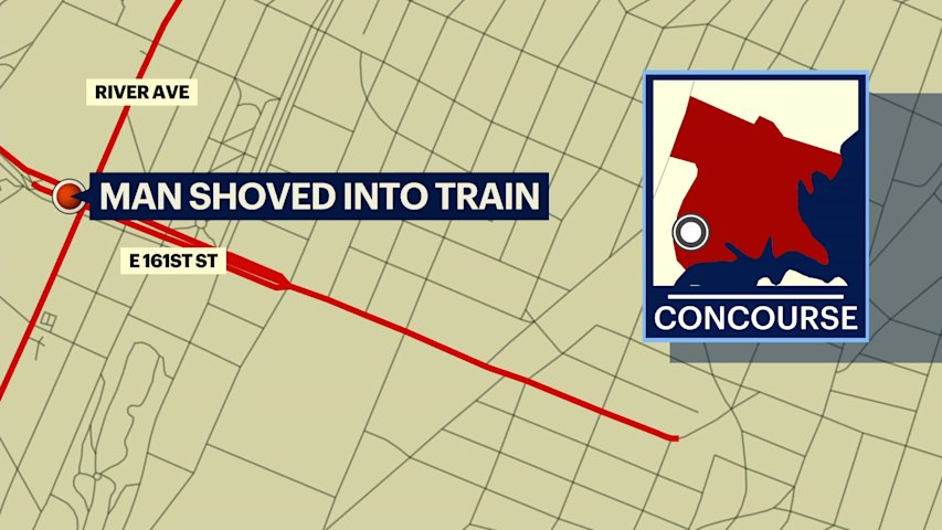 Man standing on platform shoved into moving train in Highbridge