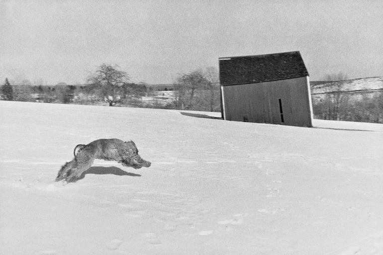Philip Perkis retrospective celebrates photographer's legacy