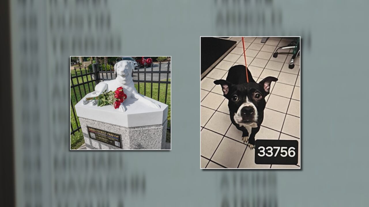 Marion County woman behind “Molly’s Law” ‘ecstatic’ as statewide ...