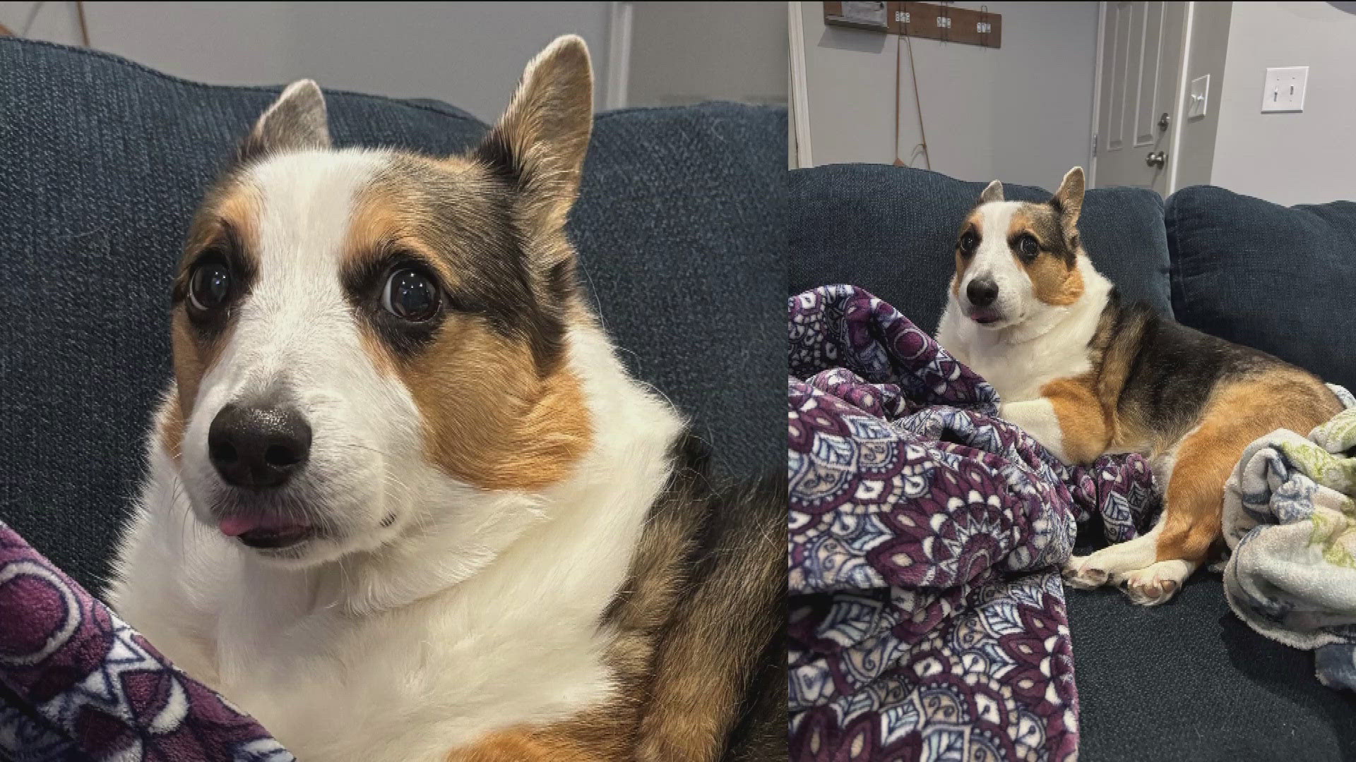 Your good news: Amy Crawford, Paula Tucker