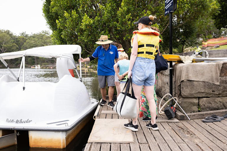 The swan-shaped boats ruffling a Sydney council’s feathers