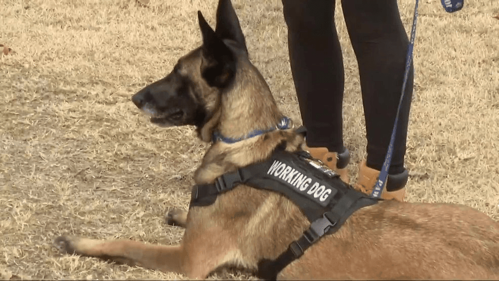 Paws of War continue the spirit of giving beyond the holiday season