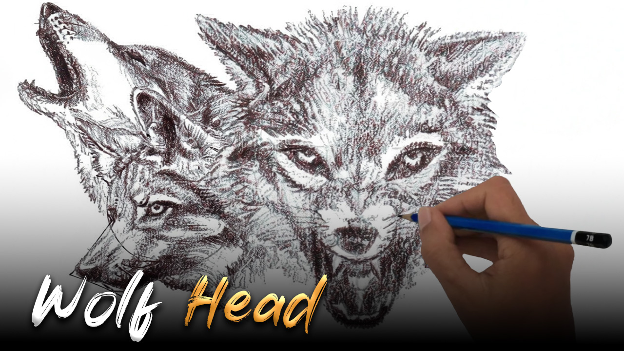 Drawing a wolf head from front side and profile views