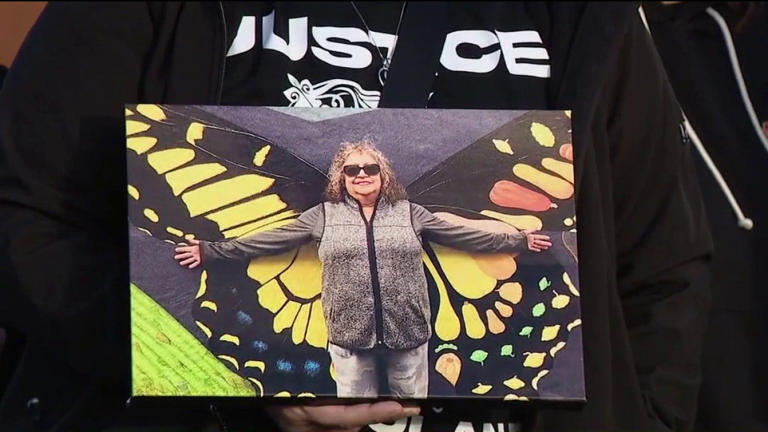 Family sues Brentwood over woman's death after run-in with police