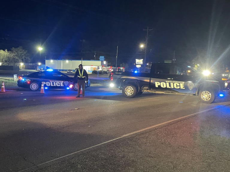 North Charleston police investigating fatal hit-and-run collision on ...