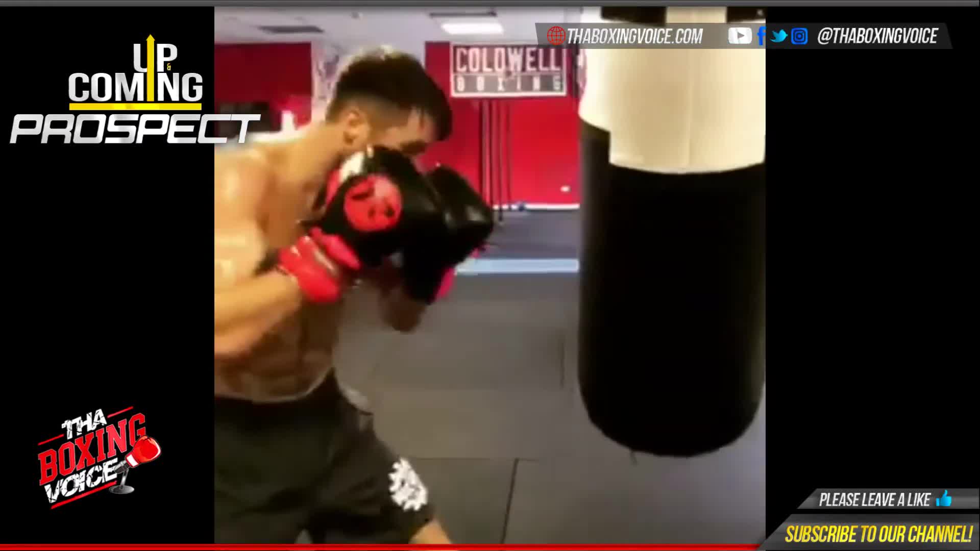 Anthony Fowler 4-0 training footage from inside the Coldwell Gym