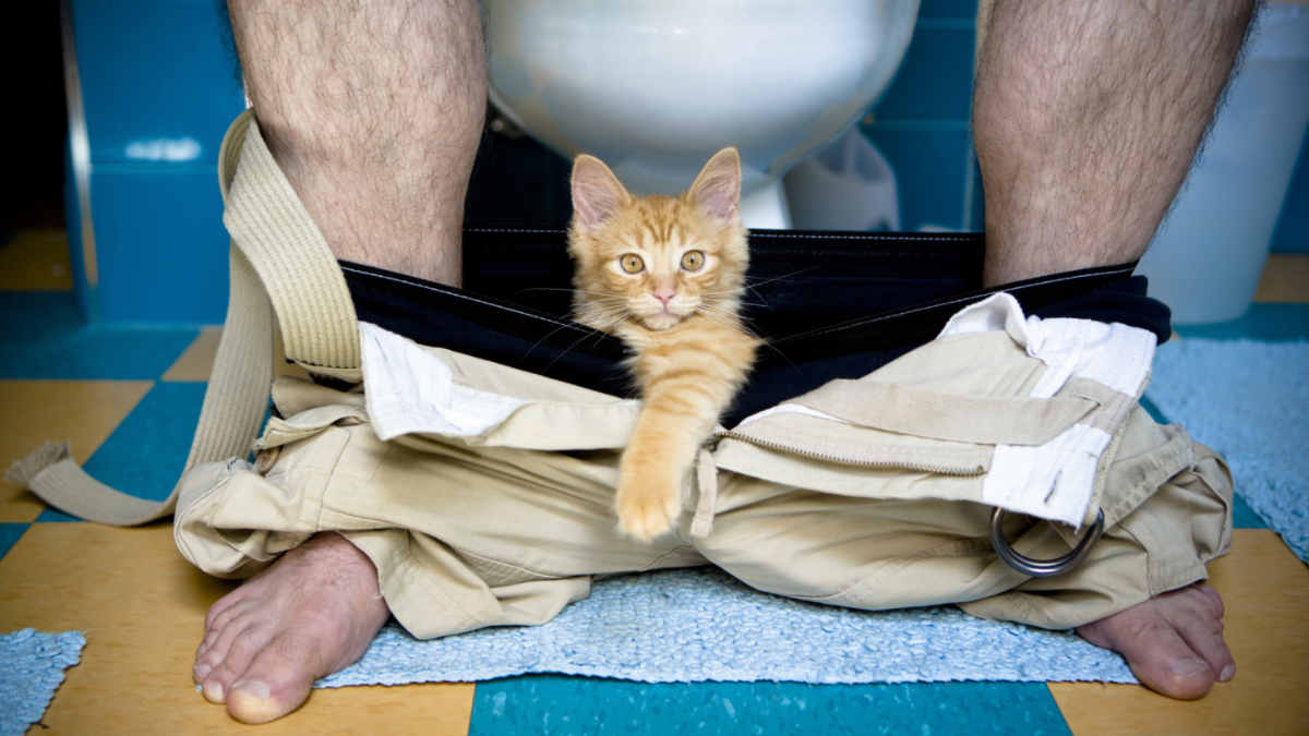 Eating this fruit could fix your constipation, new research reveals