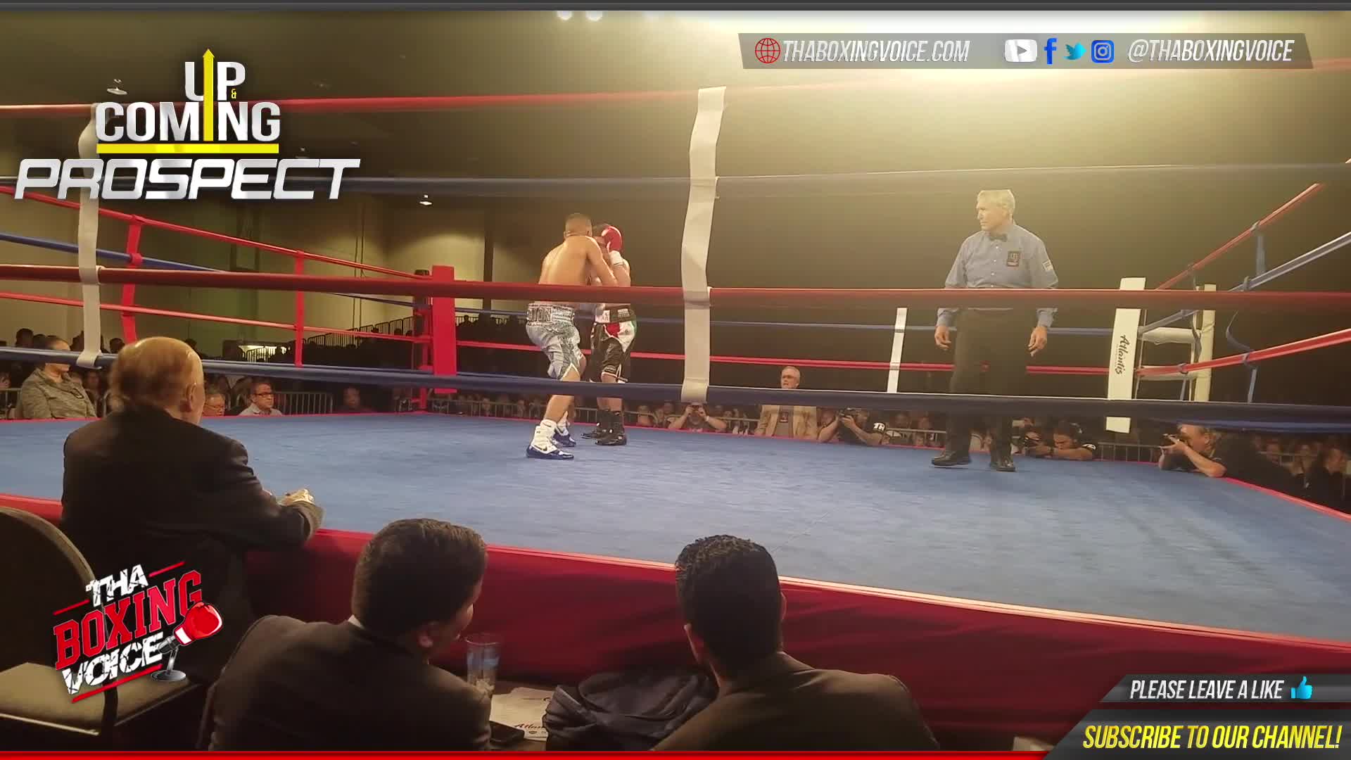 TBV All Access: Gabriel Flores Jr Get's The TKO in 5TH Win Over ...