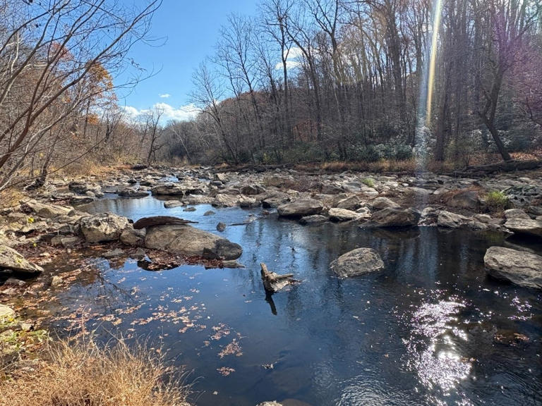 Best places to live, work, play in Virginia: 2025 recap