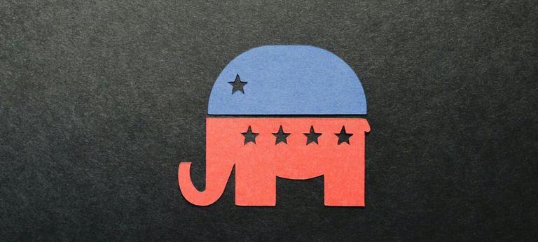 What exactly does the right stand for?