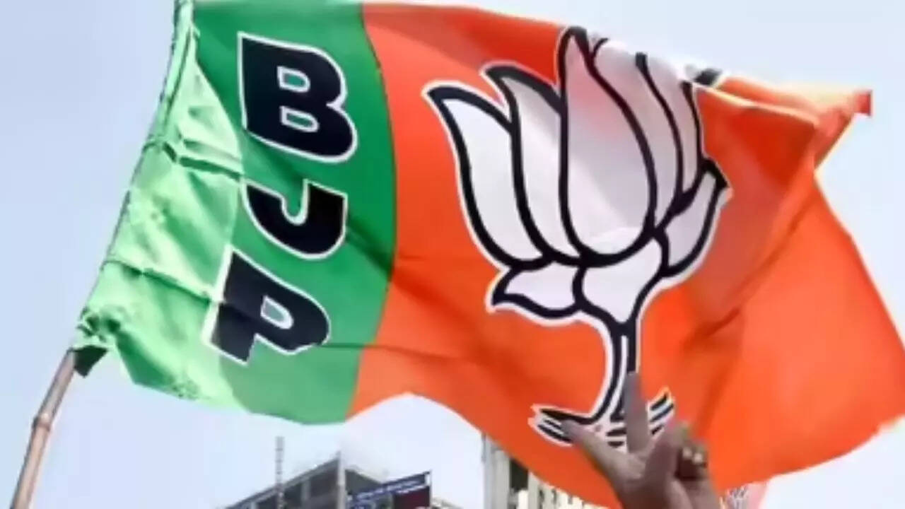 Civic polls: BJP fields Muslim candidates in Jalna as Mahayuti allies ...