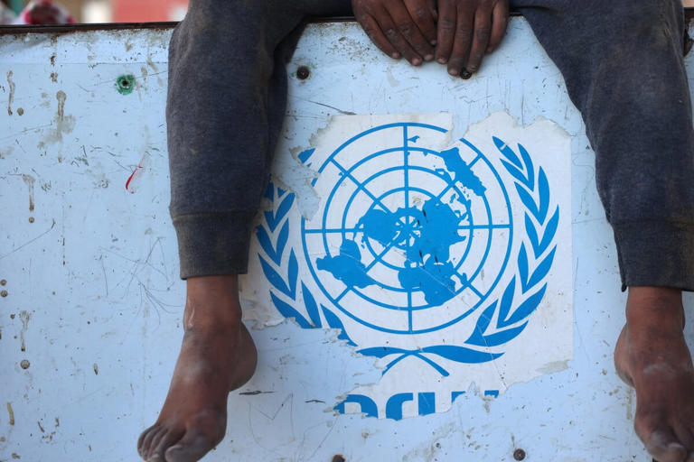 UN shares update on UNRWA operations as Israel seeks to ban vital aid ...