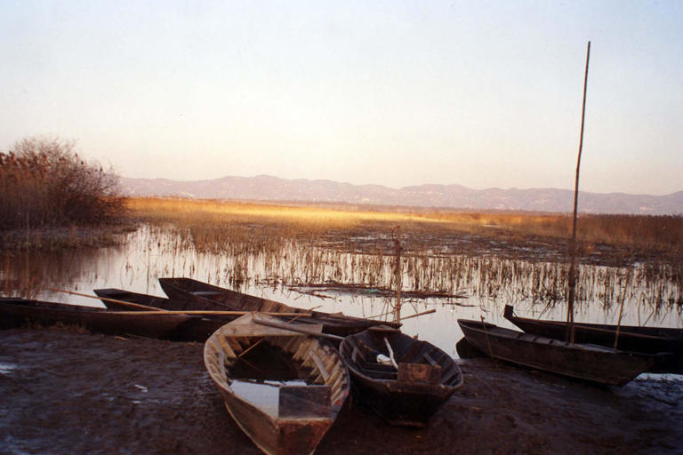 Centro visite Padule, è polemica: "Uso improprio per gli eventi"