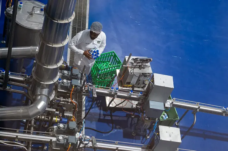 Desert to dairy farm: Inside Mleiha’s Sharjah factory that produces 600 ...