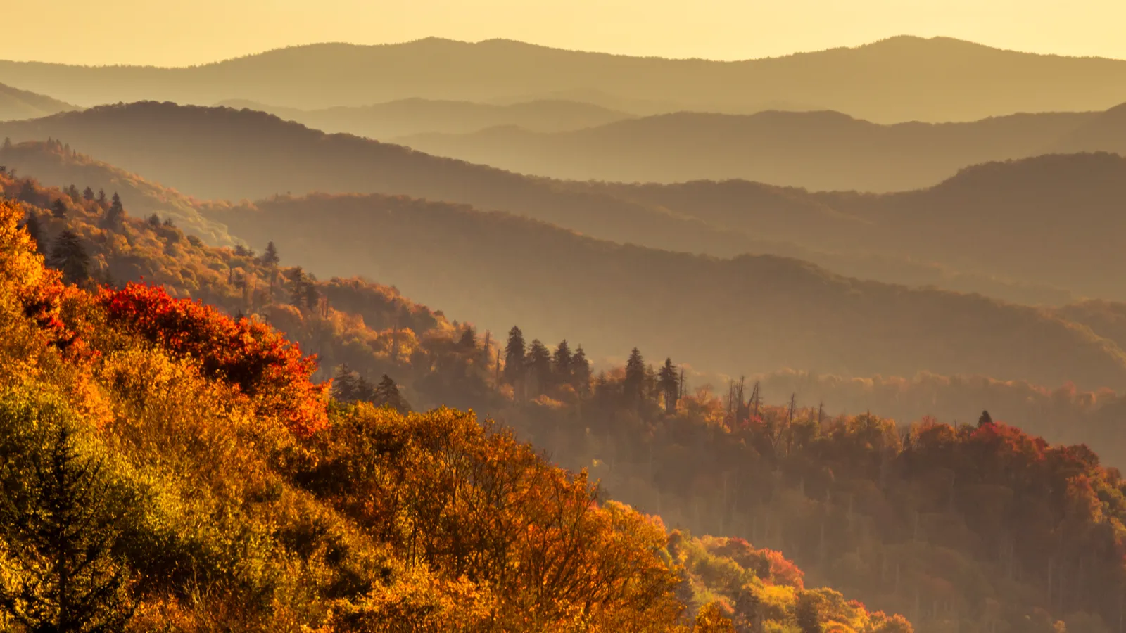 Tennessee state parks with easy trails, lakes, and waterfalls perfect ...