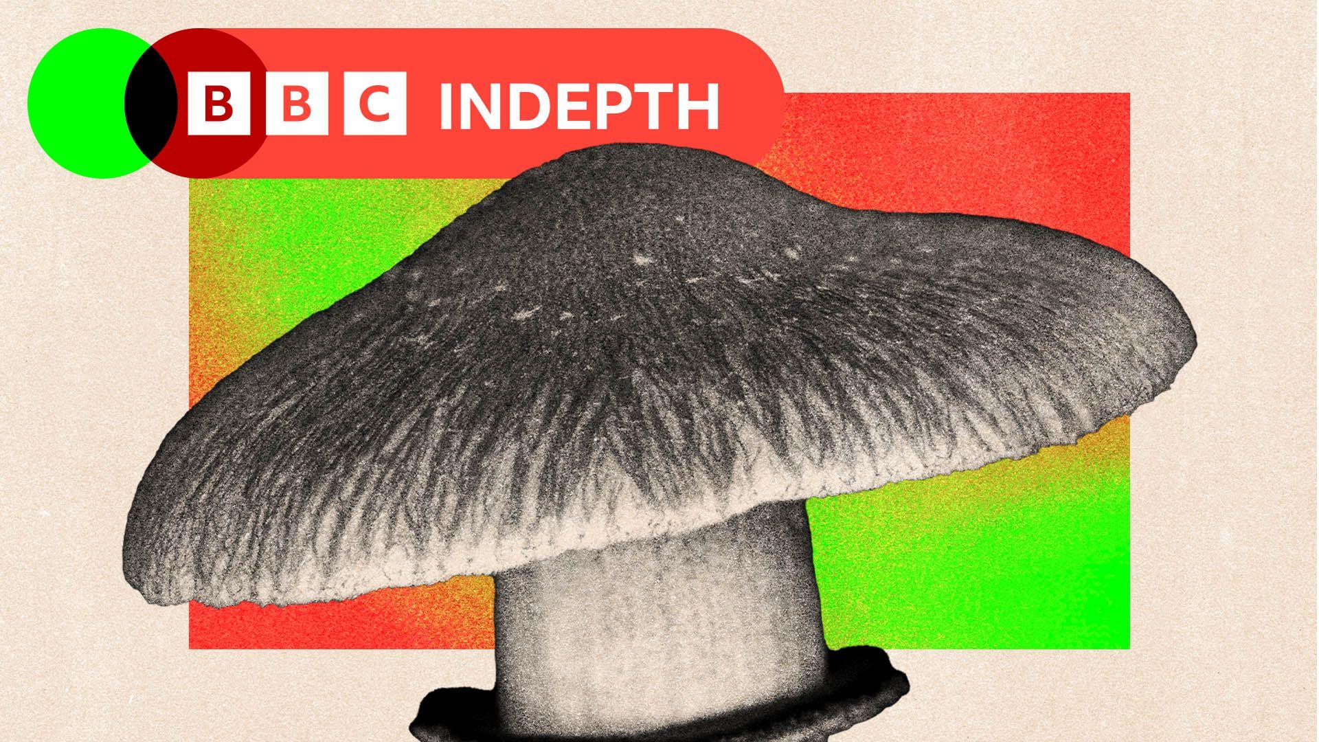 The great debate about whether the NHS should use magic mushrooms to ...