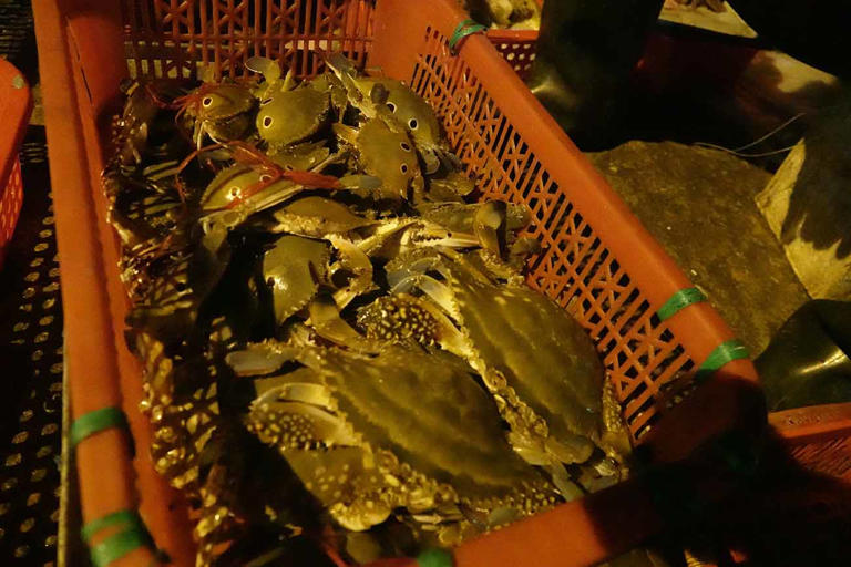 Tấp nập mua bán tại Cảng cá Cửa Sót ngày đầu năm