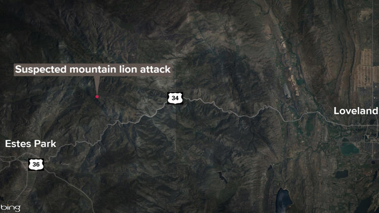 Suspected mountain lion attack reported in Larimer County