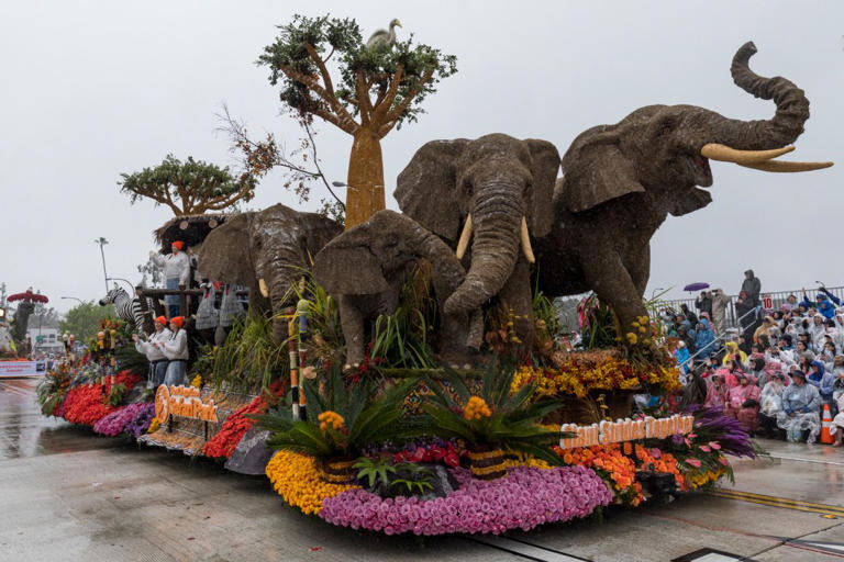 San Diego Zoo wins prestigious Grand Marshal Award at Rose Parade