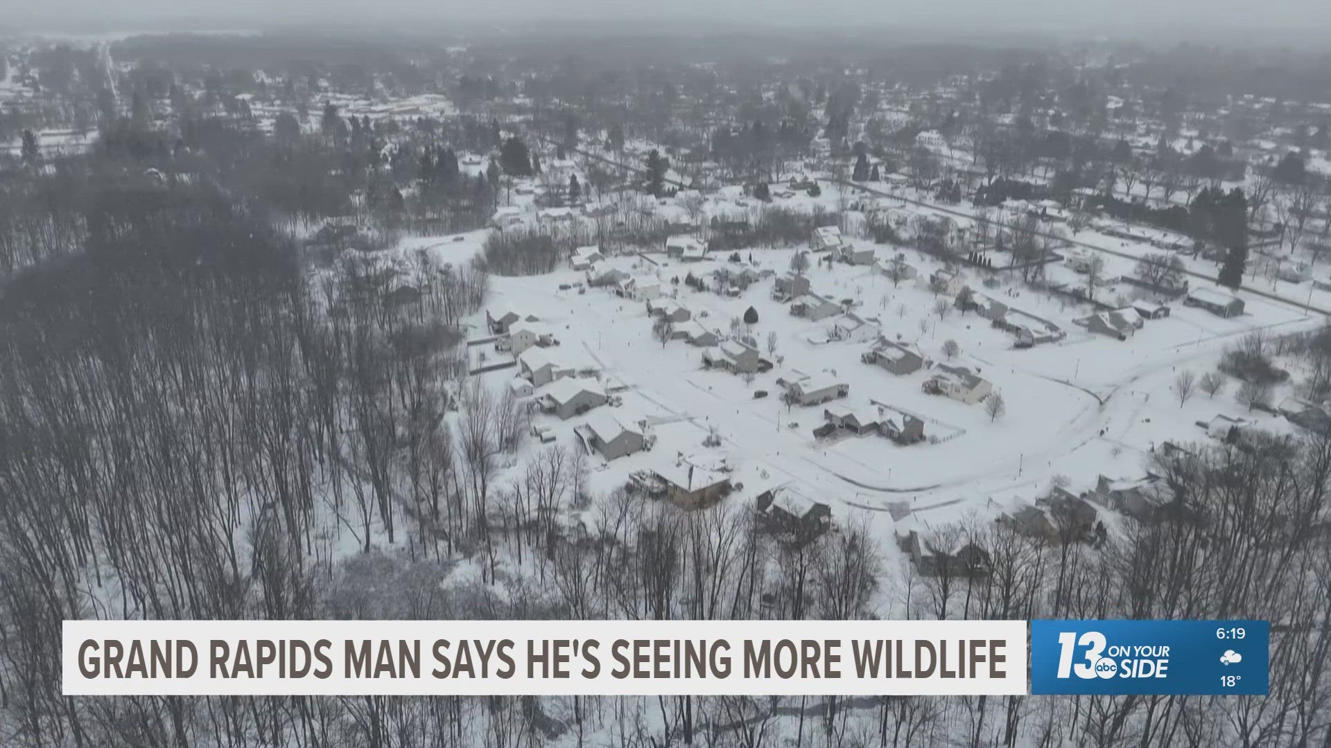 Are wildlife moving deeper into urban areas? A Grand Rapids man thinks so