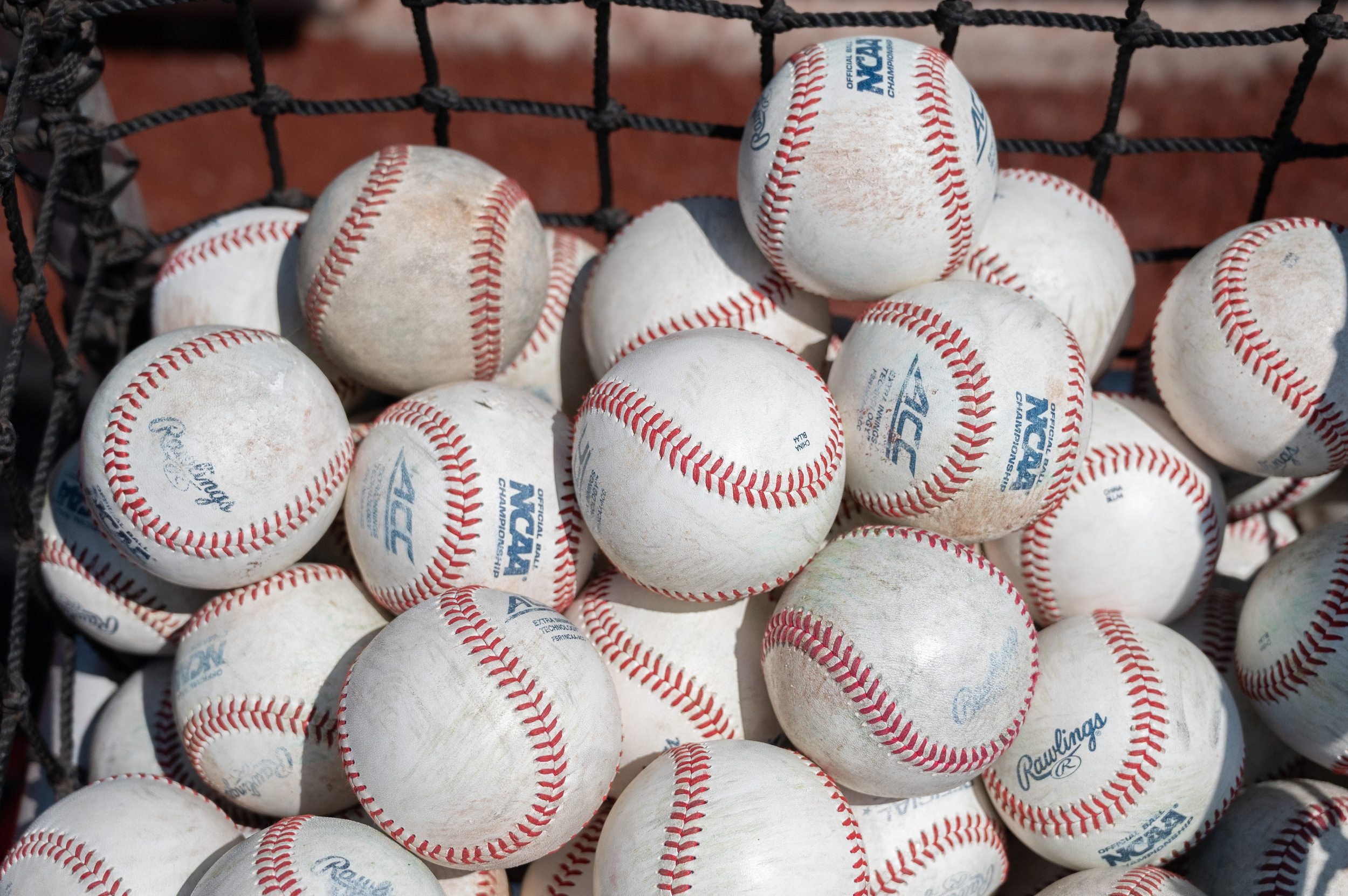 Kona Takahashi could return to NPB