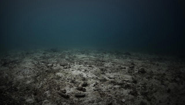 Scientists stunned by discovery in world's coldest ocean waters ...