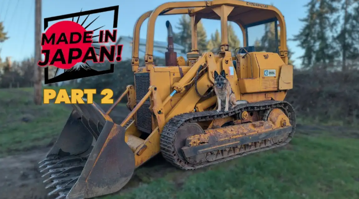 Estate sale discovery: Abandoned Caterpillar 955L track loader in a ...