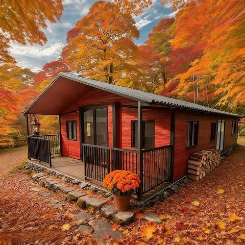 This chalet-style Amazon tiny house is under $20,000, and it has an ...