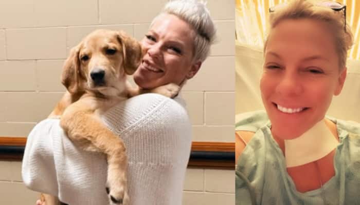 Singer-songwriter Pink hospitalised ahead of neck surgery, shares ...