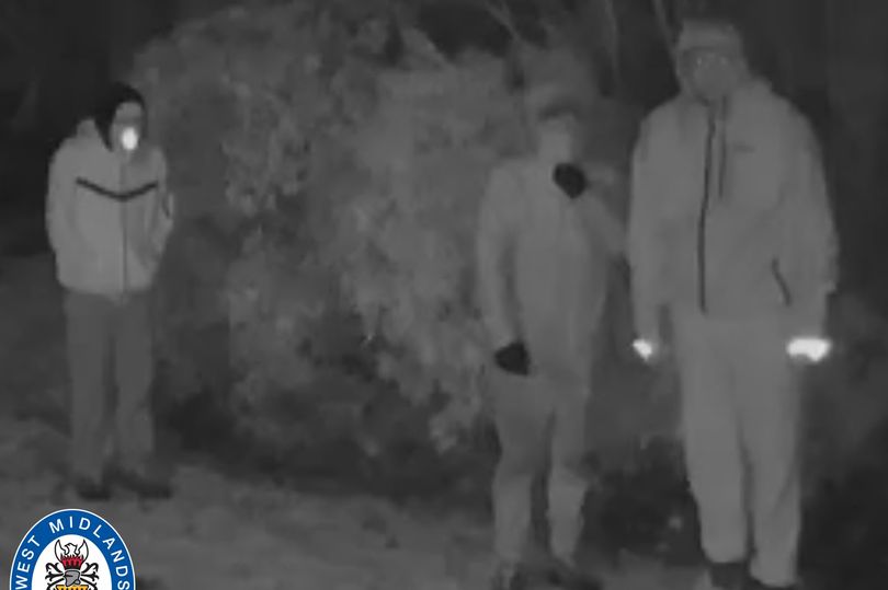 Police appeal after gang of men attempt to break into house