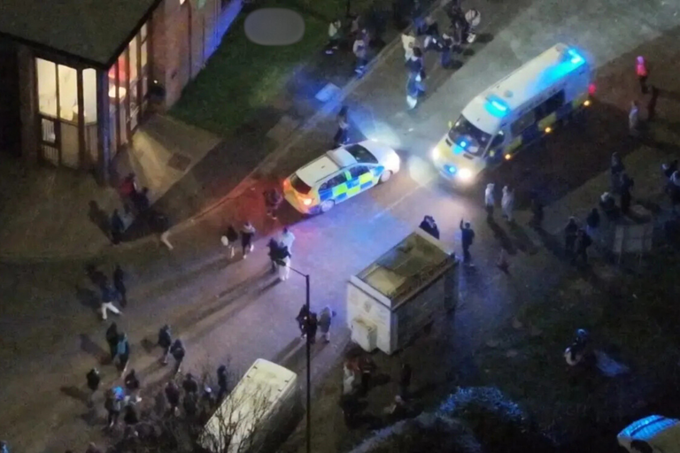 Police pelted with missiles by 'illegal ravers' at 400-strong gathering ...